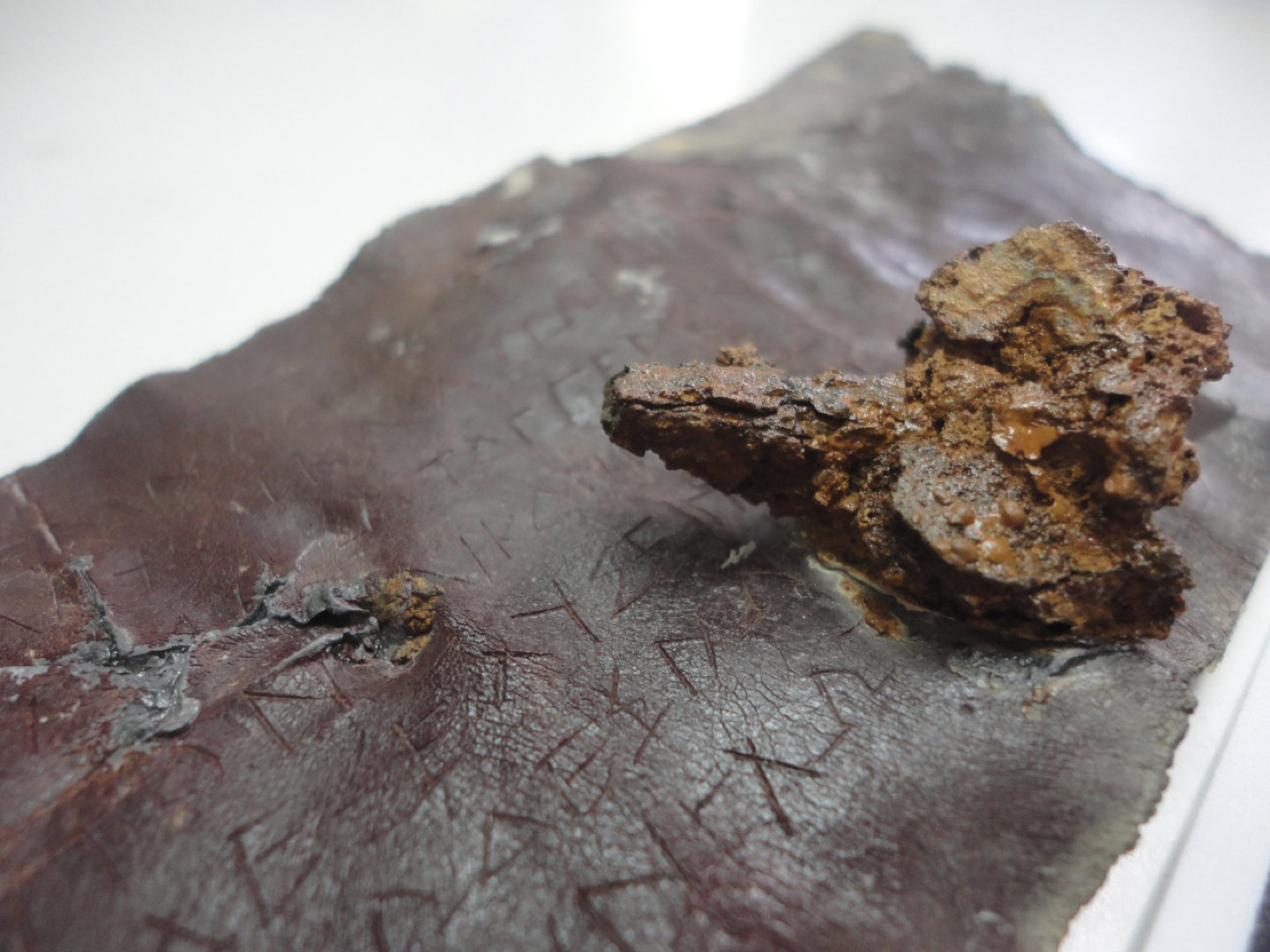 Blog Post #86: “In Blood and Ashes”: An Interview with Jessica Lamont ...